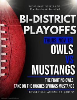 Anderson-Shiro Fighting Owl Football vs. Hughes Springs Mustangs at ...